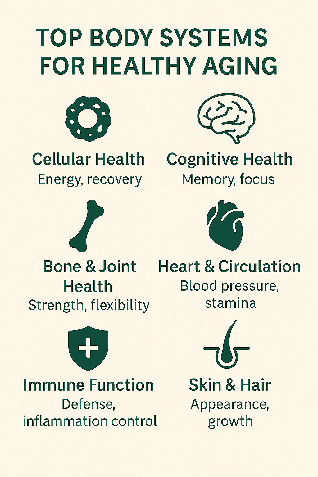 Healthy Aging - Bona Valetudo
